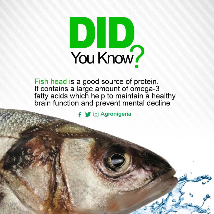 What are the benefits of fish head?