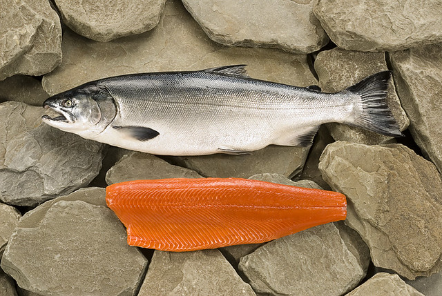 What are the benefits of wild fish?