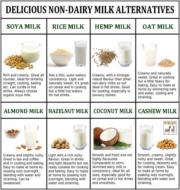 What are the best alternatives to Dairy Milk?