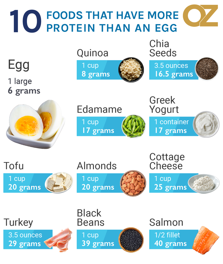 What are the best high-protein foods?