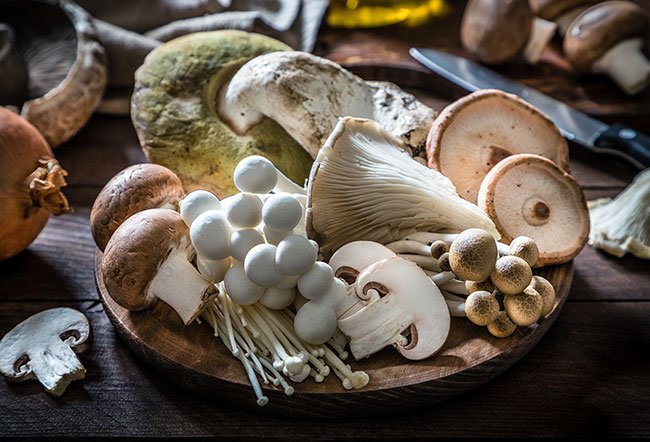 What are the best mushrooms for human health?