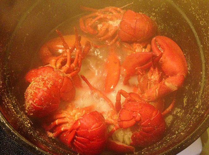 What are the best tips for cooking with lobster?