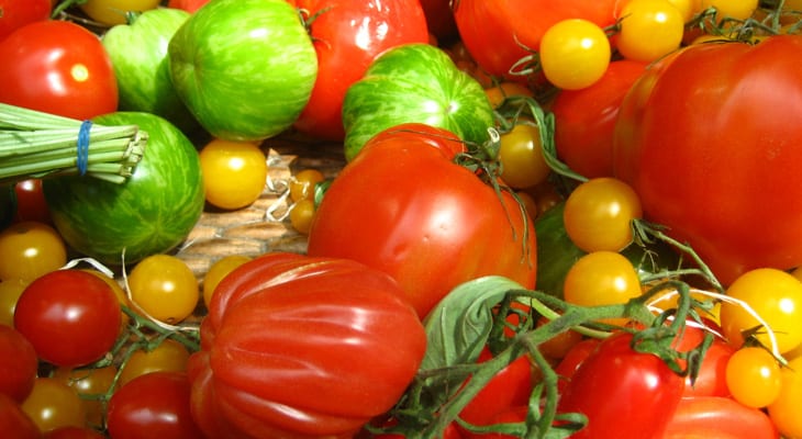 What are the best tomatoes this time of year?