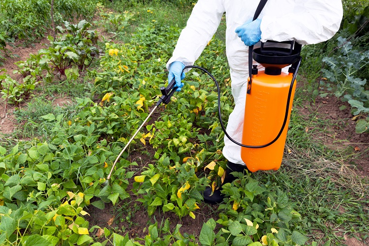 What are the carcinogens in soybean spray?