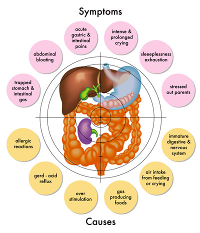 What are the causes of excess gas in the stomach?