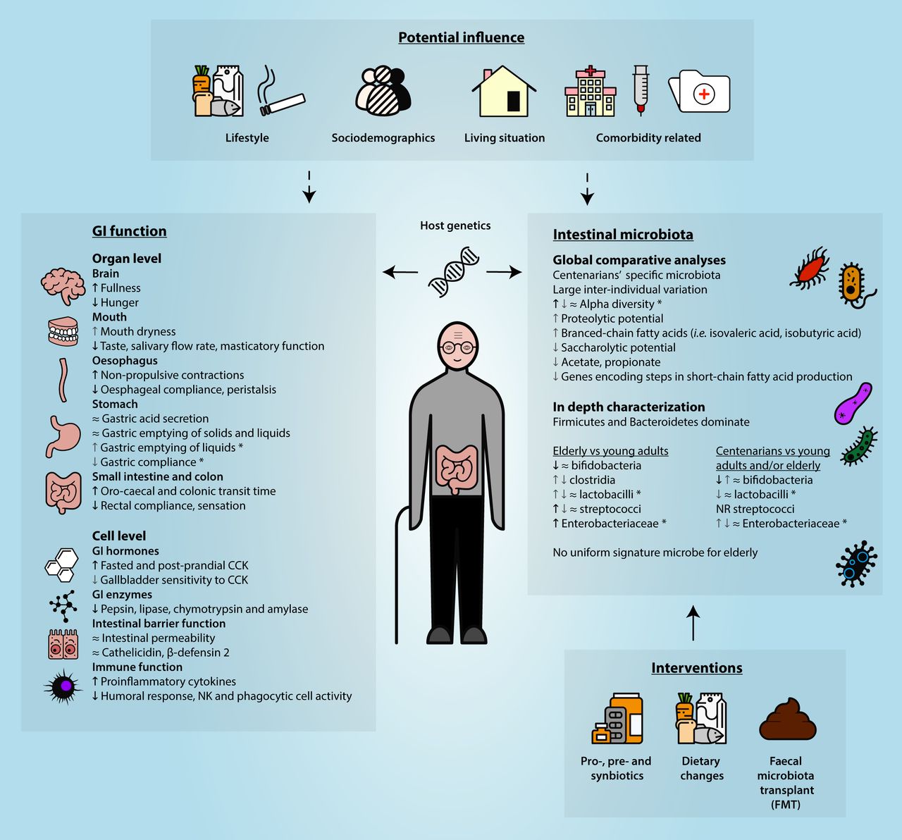 What are the changes that occur with Ageing in the stomach?