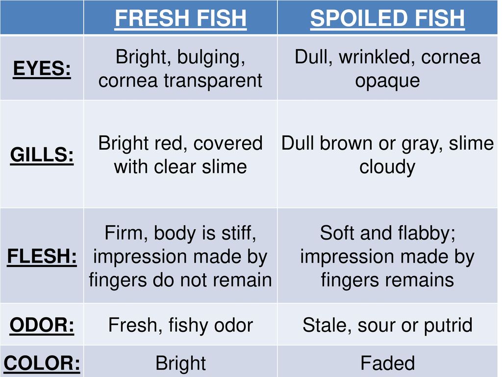 What are the characteristic of a fresh and spoiled fish?