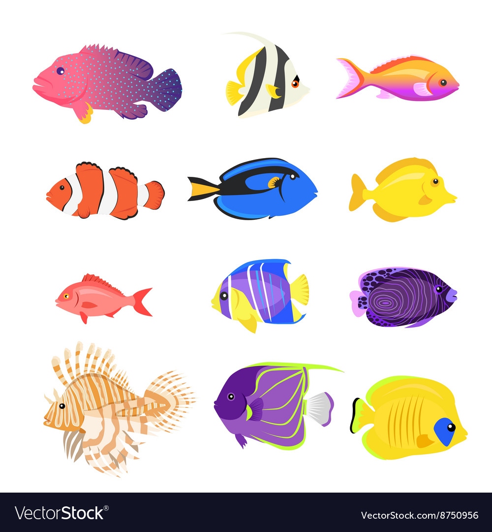 What are the colors of fish?