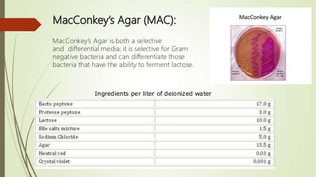 What are the components of agar?