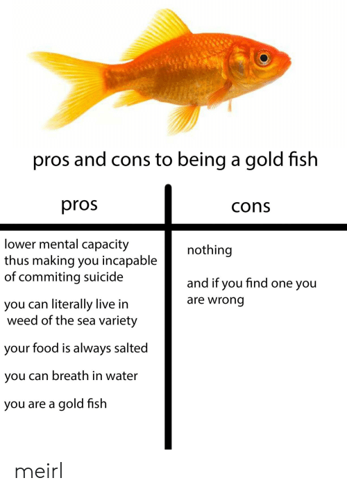 What are the cons of having a goldfish?