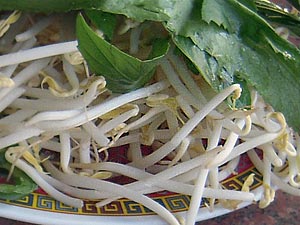 What are the crunchy things in pho?