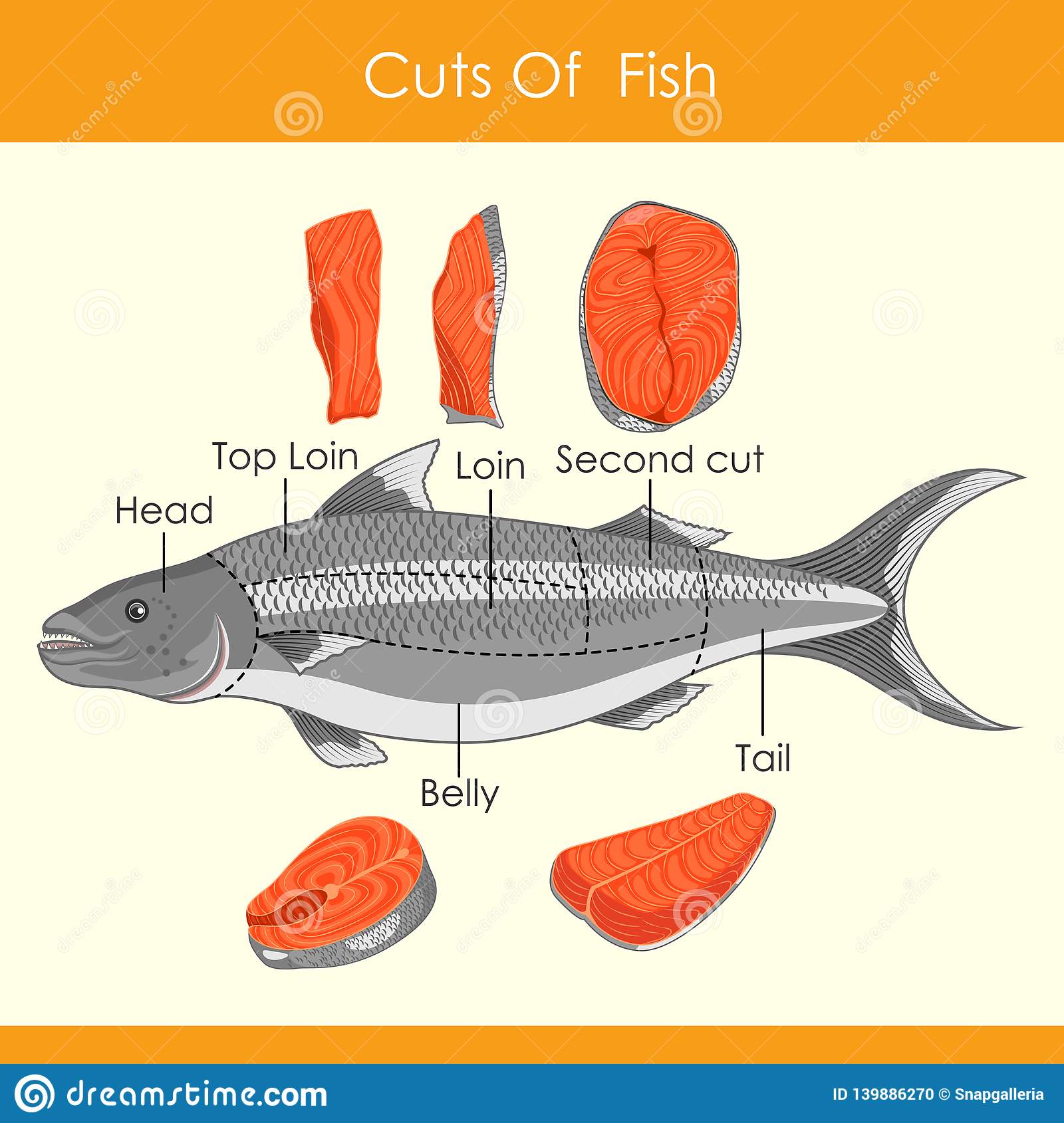 What are the cut of fish?