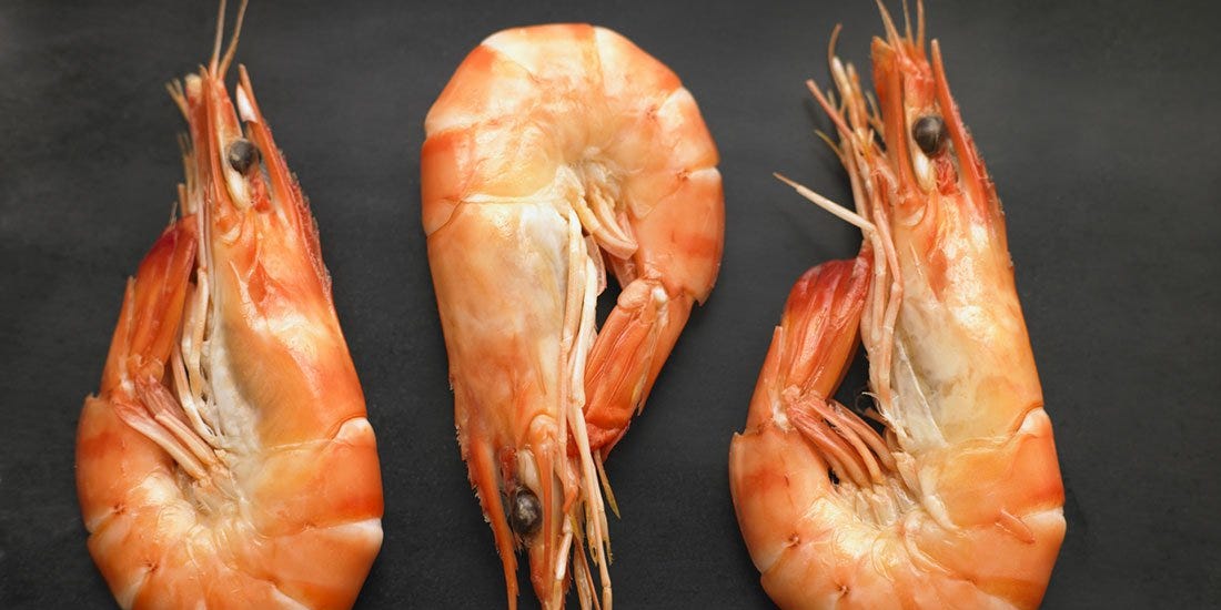 What are the dangers of shrimp?