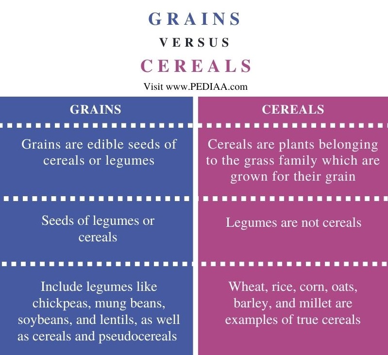 What are the difference between grains and cereals?