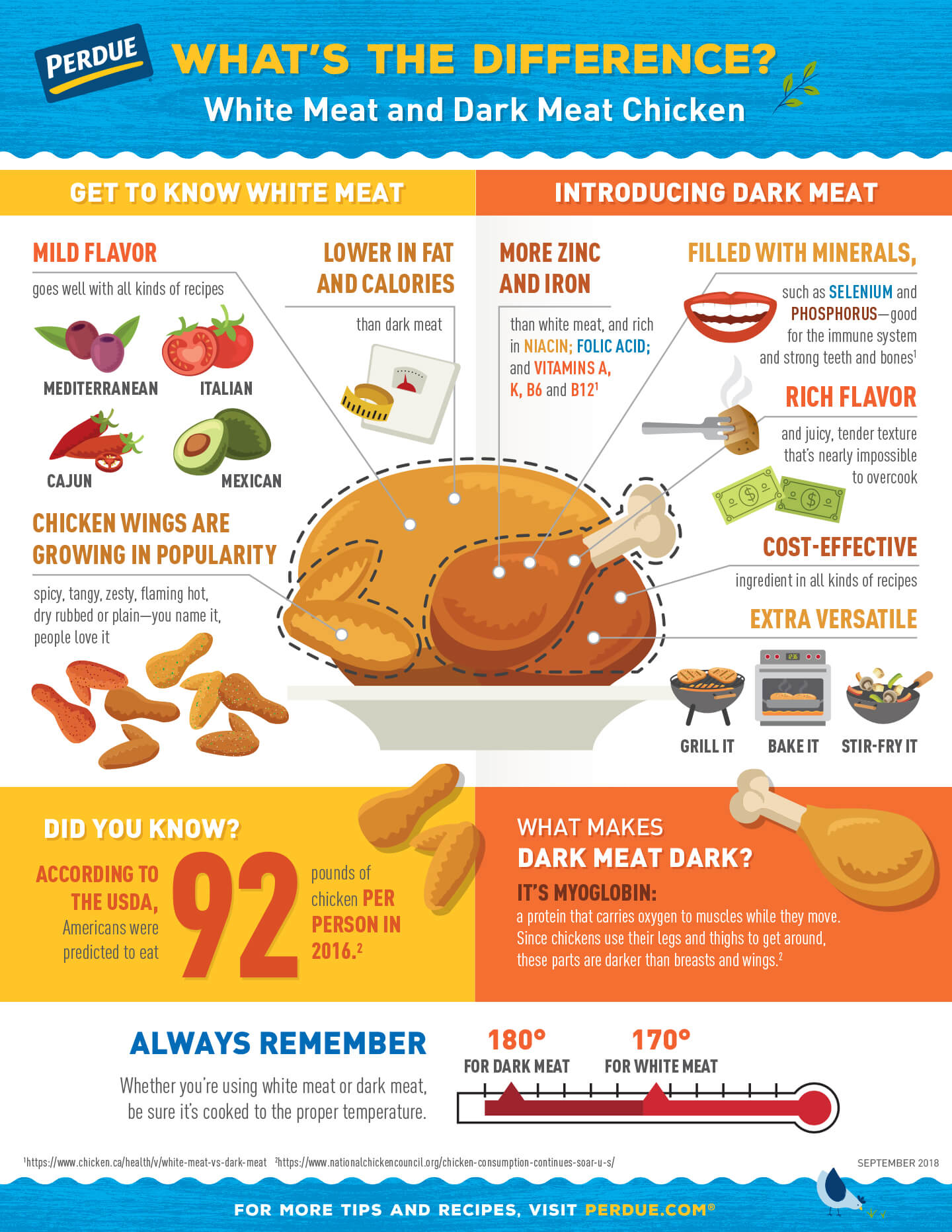 What are the difference between light and dark meat?