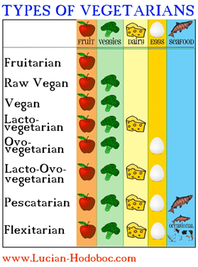 What are the differences between vegan lacto vegetarians and lacto ovo vegetarians quizlet?