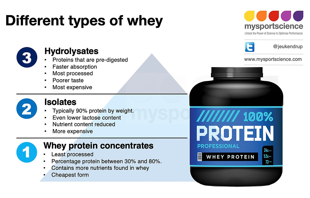 What are the different forms of whey protein?