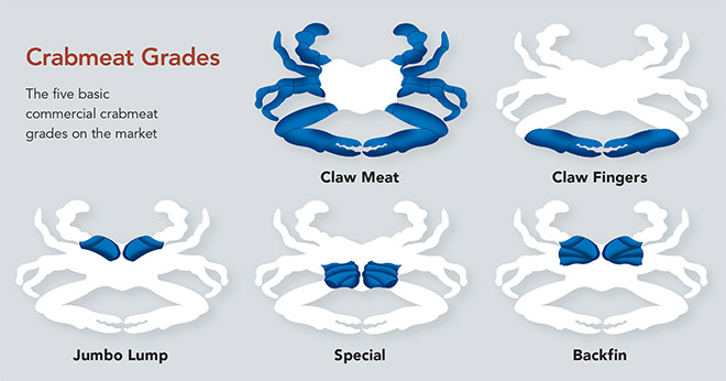 What are the different grades of crab meat?