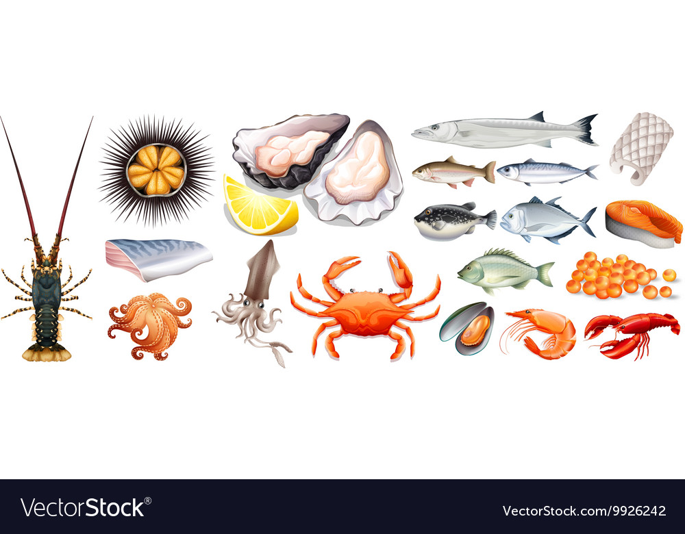 What are the different kinds of seafoods?