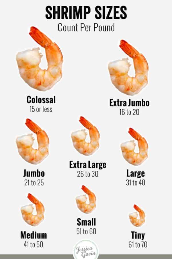 What are the different sizes of shrimp?