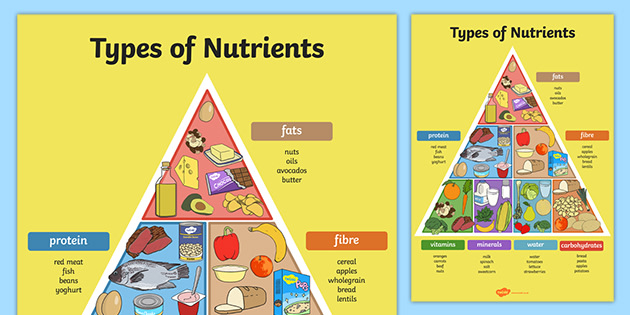 What are the different types of nutrients found in food?