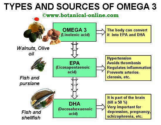 What are the different types of omega-3s?