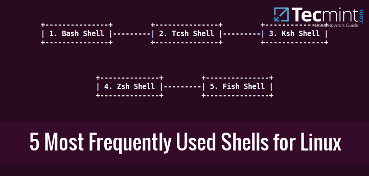 What are the different types of shells in Linux?
