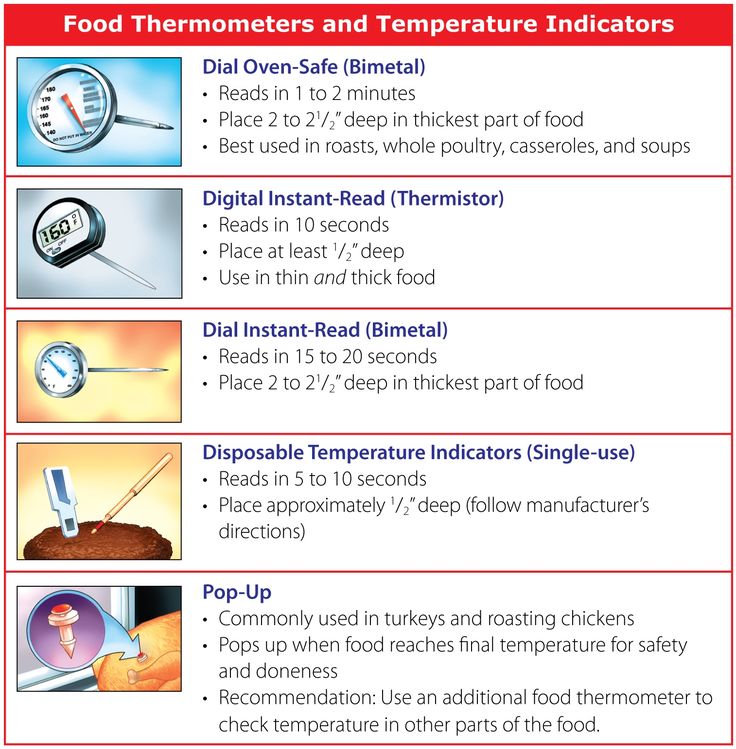 What are the different types of thermometers used in food?