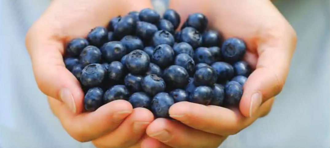 What are the disadvantages of blueberries?