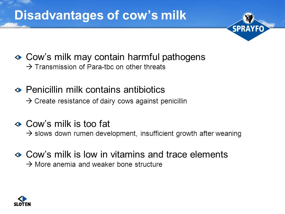 What are the disadvantages of cow's milk?