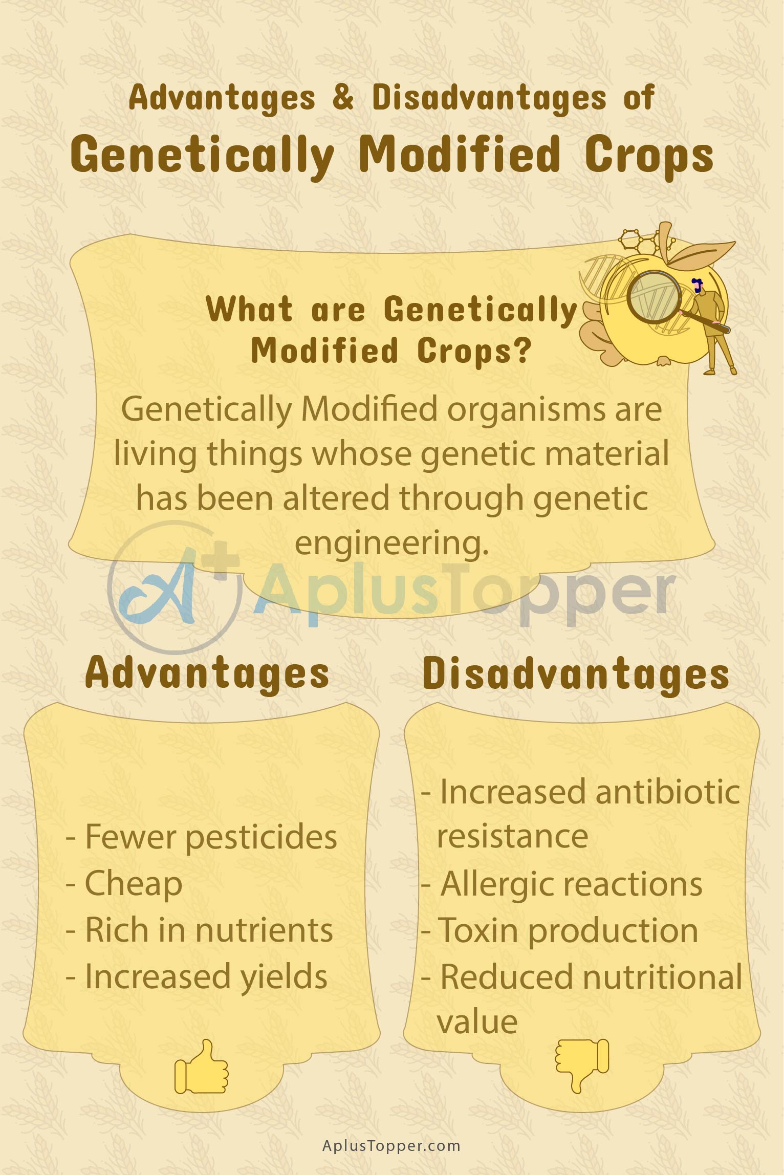 What are the disadvantages of genetic modification?