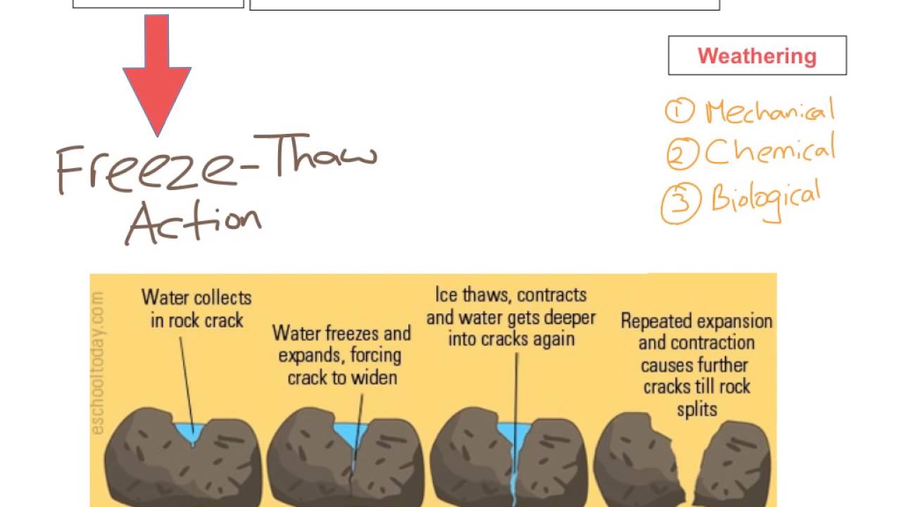 What Are The Effects Of Freeze thaw Action 2022 QAQooking wiki