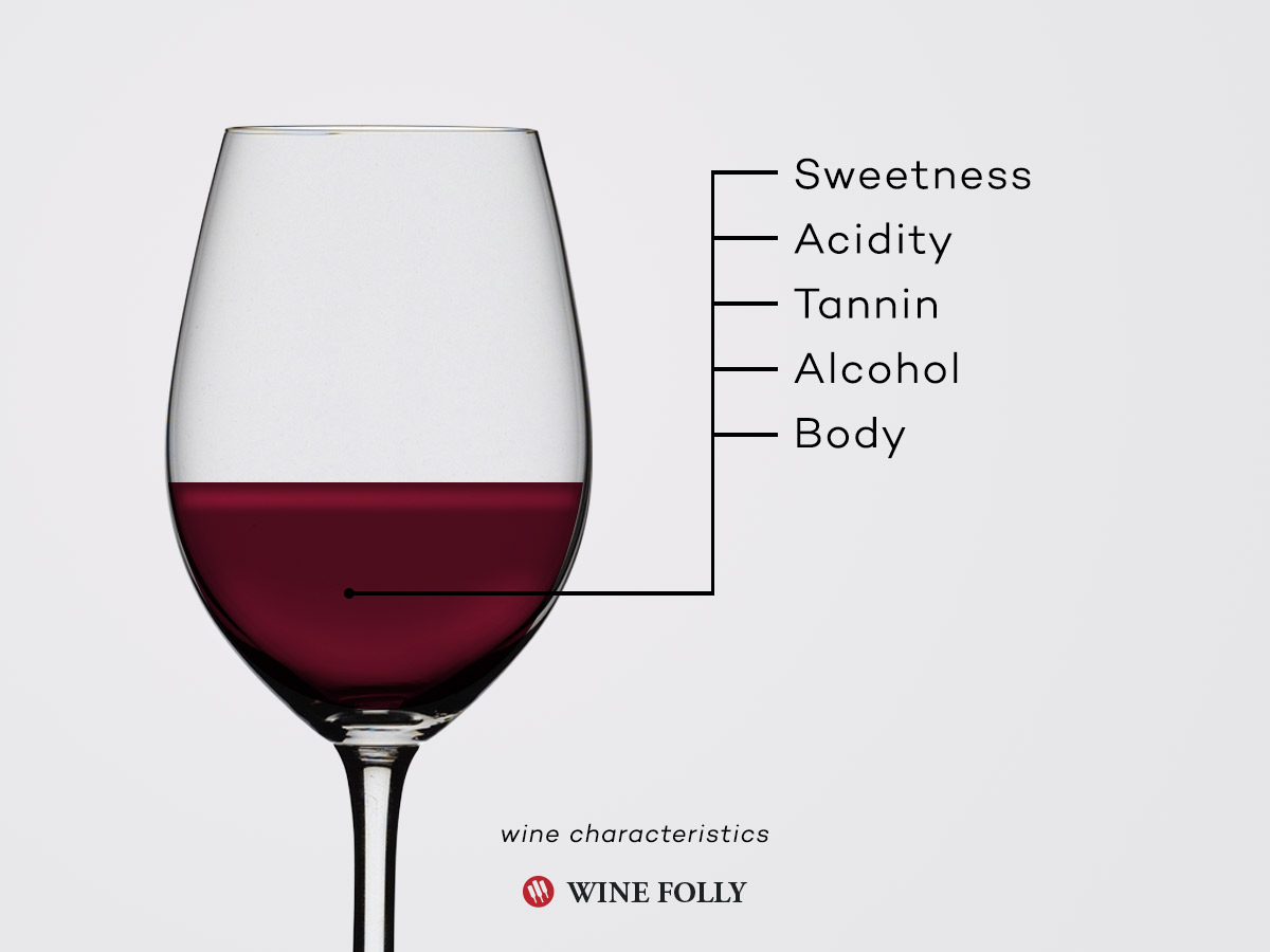 What are the elements of wine tasting?