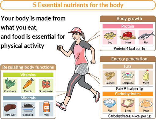 What are the essential nutrients needed by an athlete?