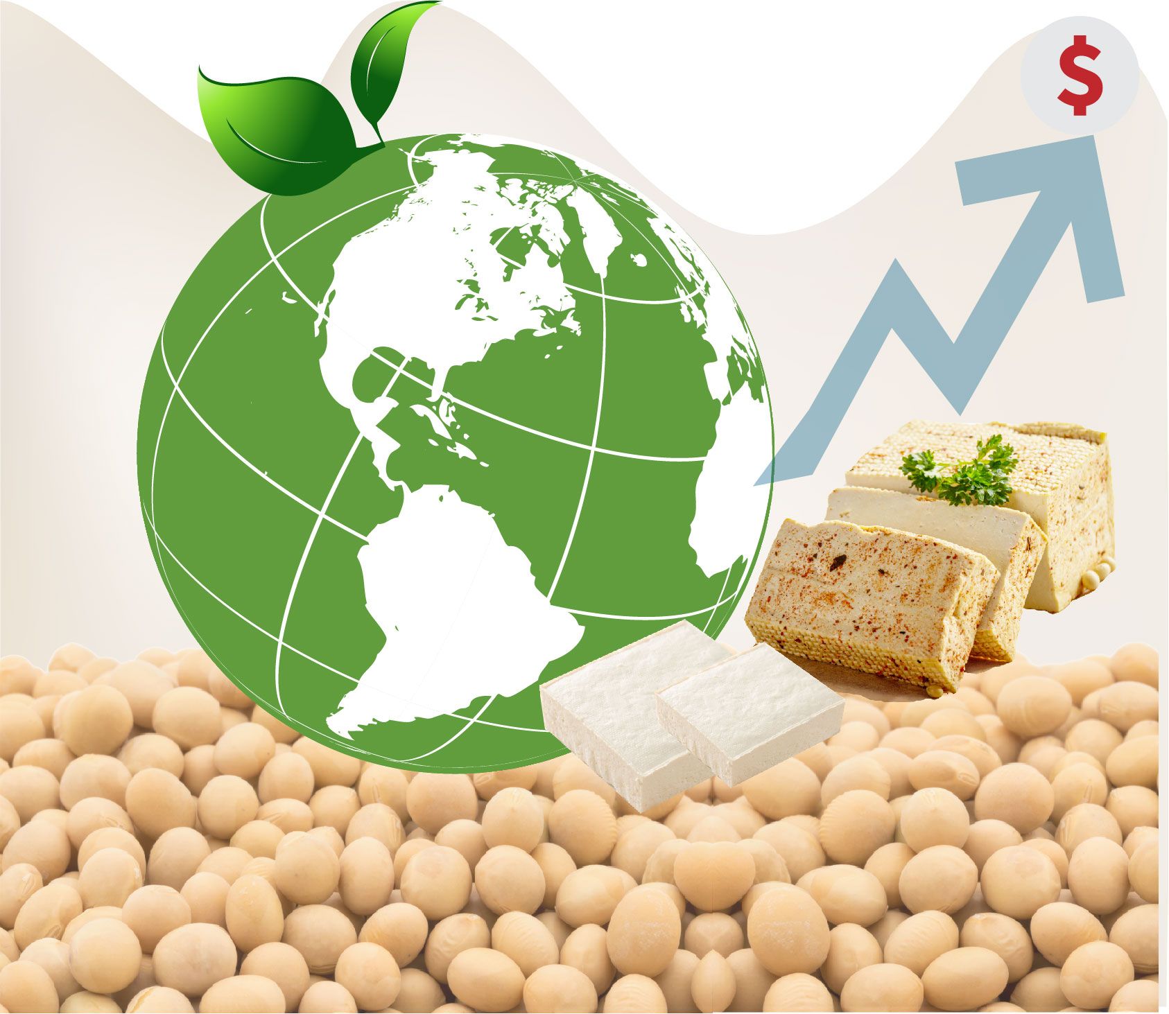 What are the factors driving the tofu market?