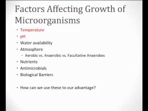 What are the factors influencing microorganism growth?