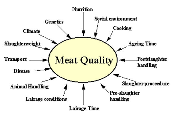 What are the factors that affect food quality?