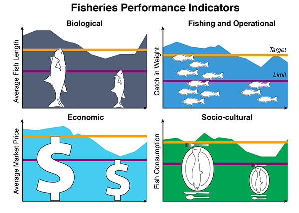 What are the fish stock assessment methods?