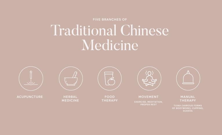 What are the five branches of traditional Chinese medicine?