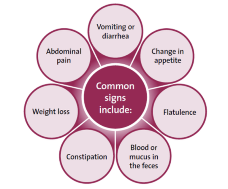 What are the four common symptoms of digestive disorders?