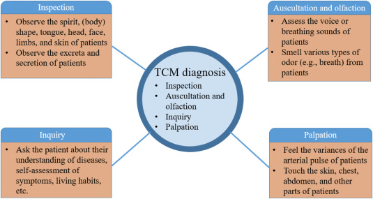 What are the four methods of diagnosis in TCM?