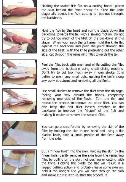 What are the four steps to filleting a fish?