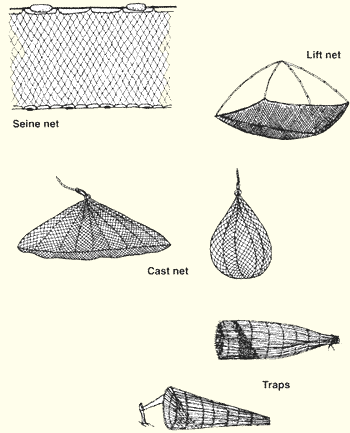 What are the four ways in capturing fish?