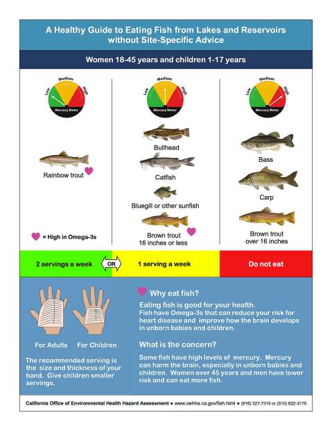 What are the guidelines for children eating fish?