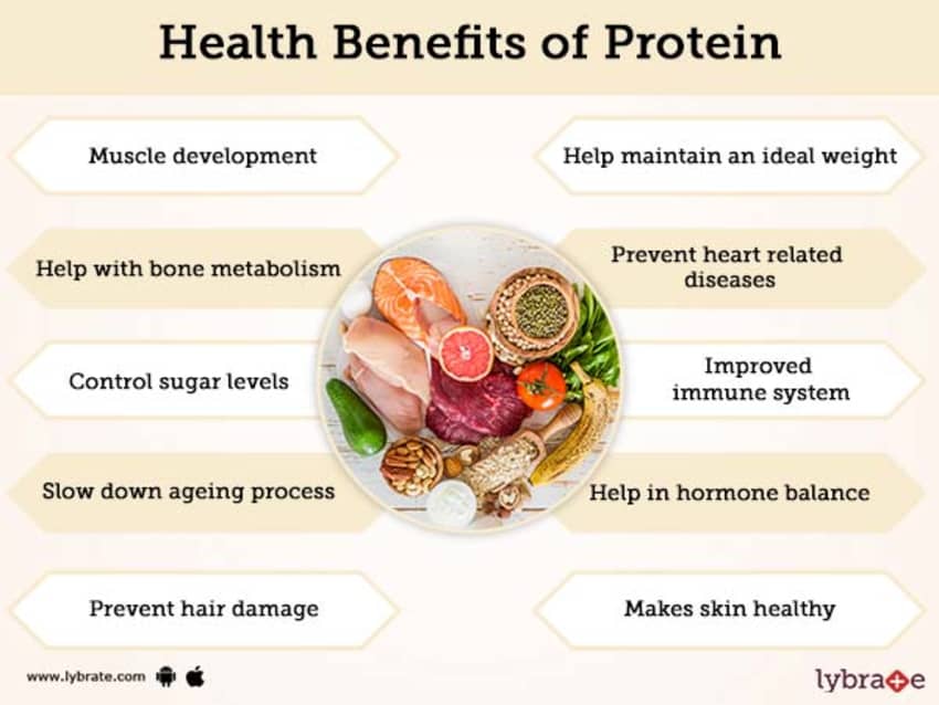What are the health benefits of a diet high in proteins?