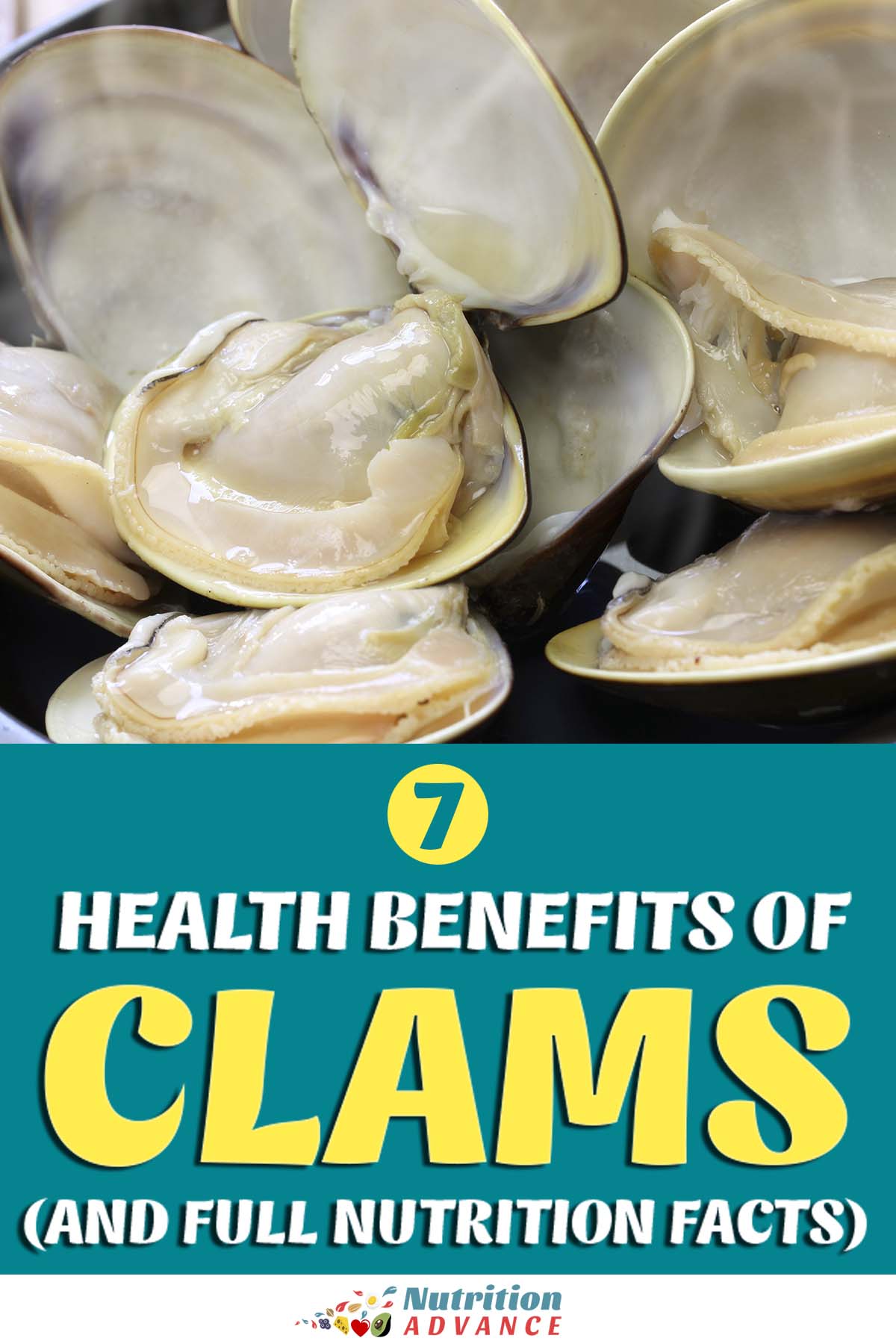 What are the health benefits of clams?
