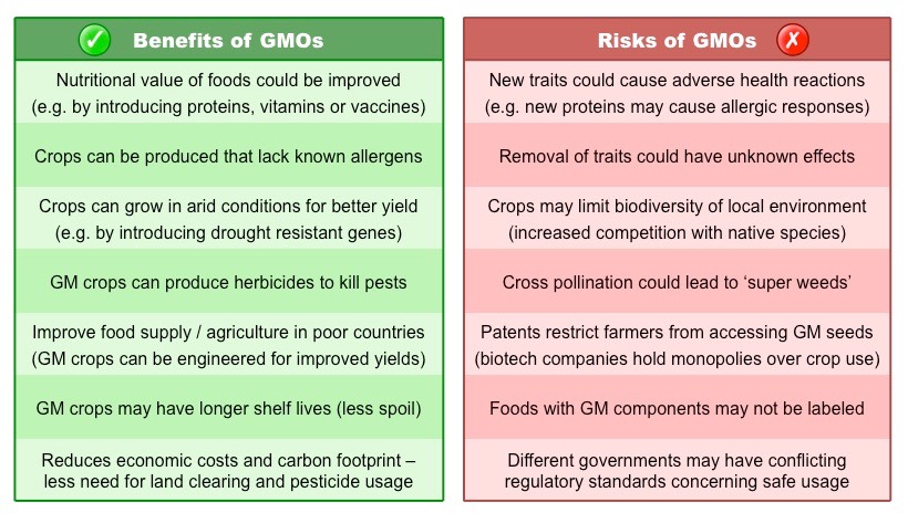 What are the health benefits of genetically modified food and health risks of genetically modified food?