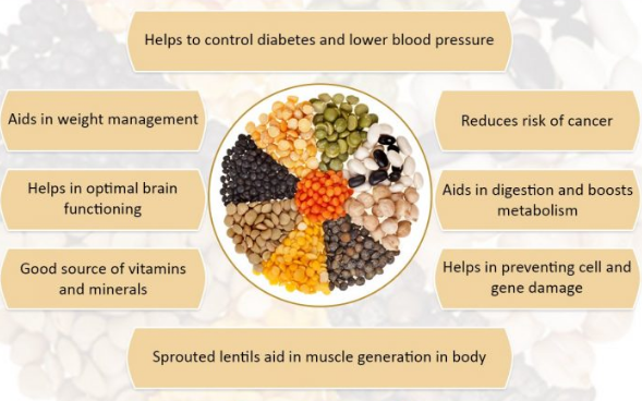 What are the health benefits of lentil soup?
