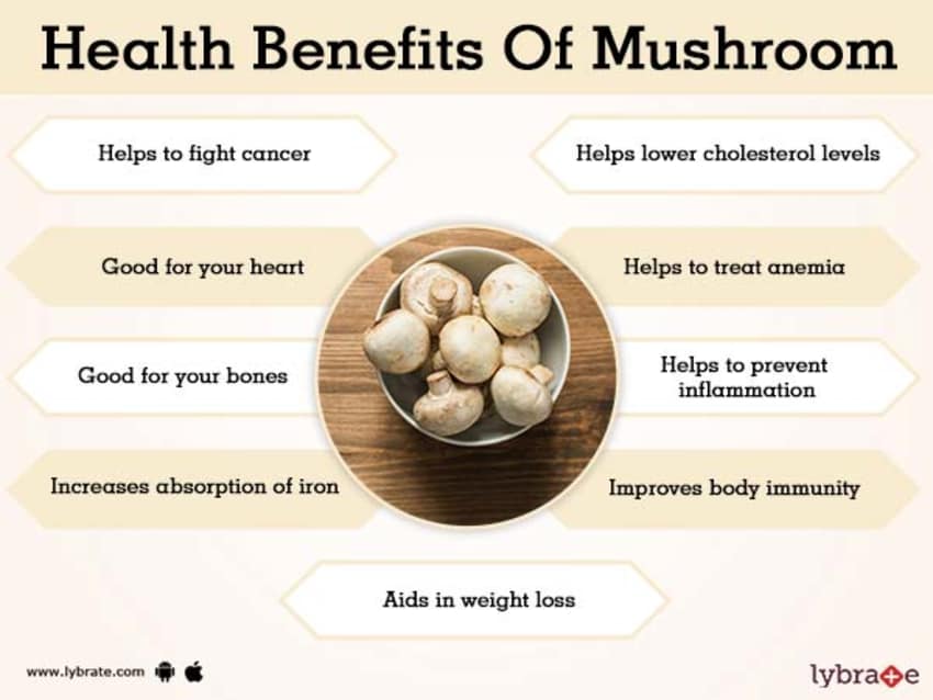 What are the health benefits of mushroom soup?