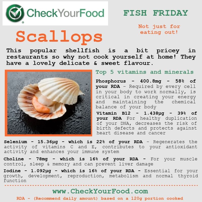 What are the health benefits of scallops?